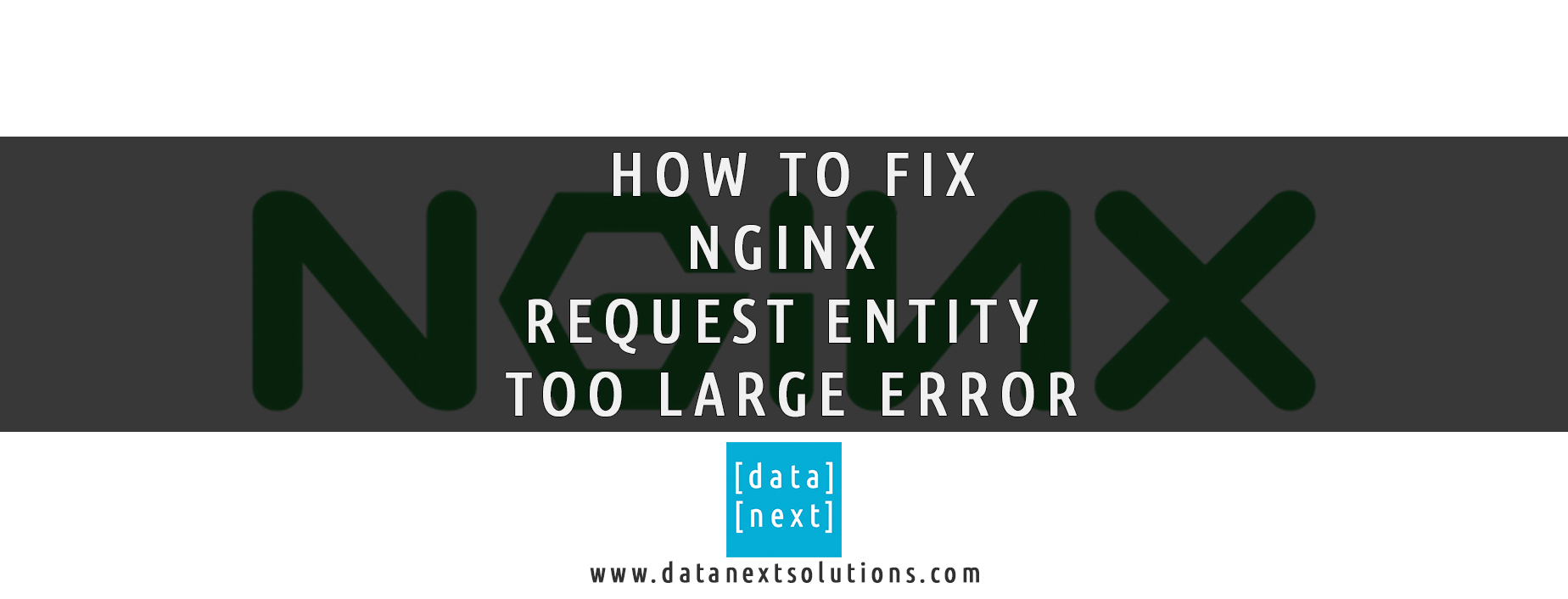 NGINX Request Entity Too Large Error | DataNext Solutions NGINX Request Entity Too Large Error | DataNext Solutions